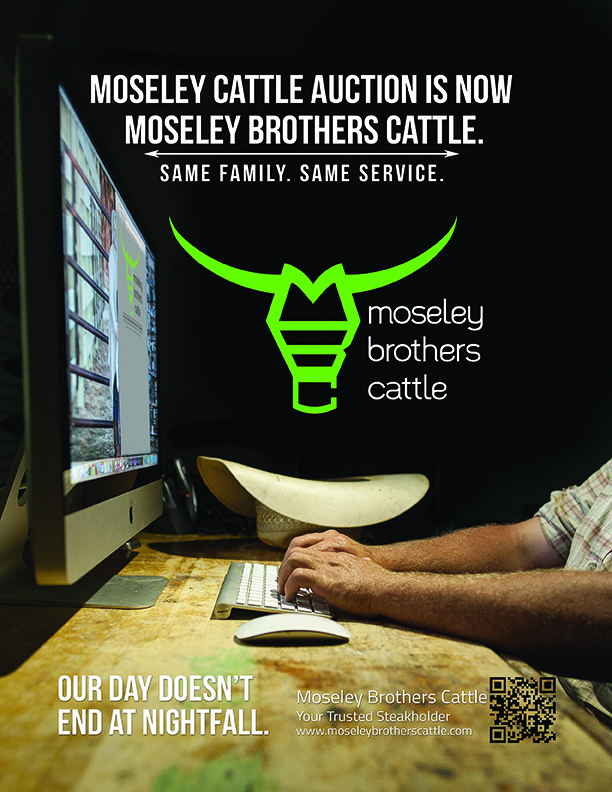 mbc-computer-ad - BackLight I Cast Your Light